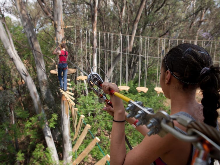 Acrobranch: Big Red Barn (Centurion) | Venturo