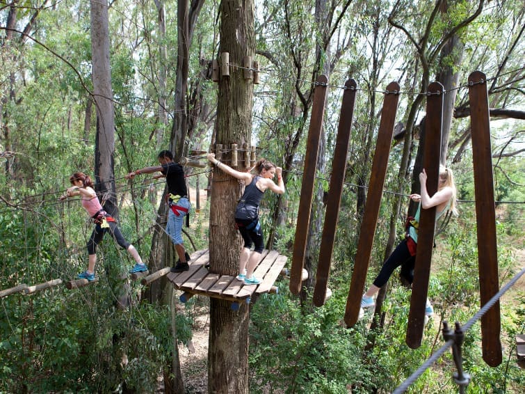 Acrobranch: Big Red Barn (Centurion) | Venturo