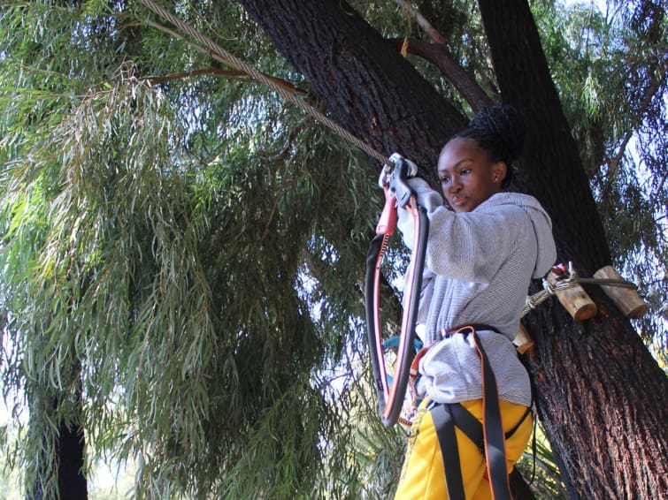 Acrobranch: Muldersdrift - Casalinga Park | Venturo